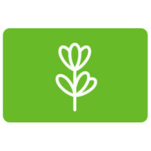 Better Ingredient Cleaning Products and Accessories – Better Life